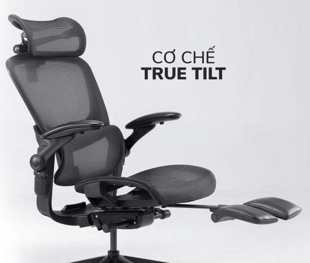 Ghế công thái học Epione Easy Chair 2.0