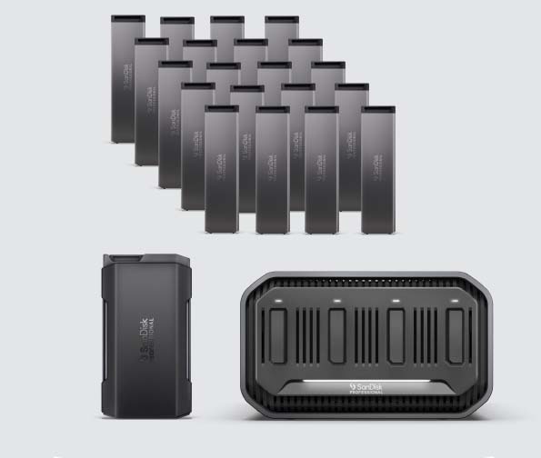 Ổ cứng di động External SSD Sandisk Professional PRO-BLADE SSD Mag 1TB ...