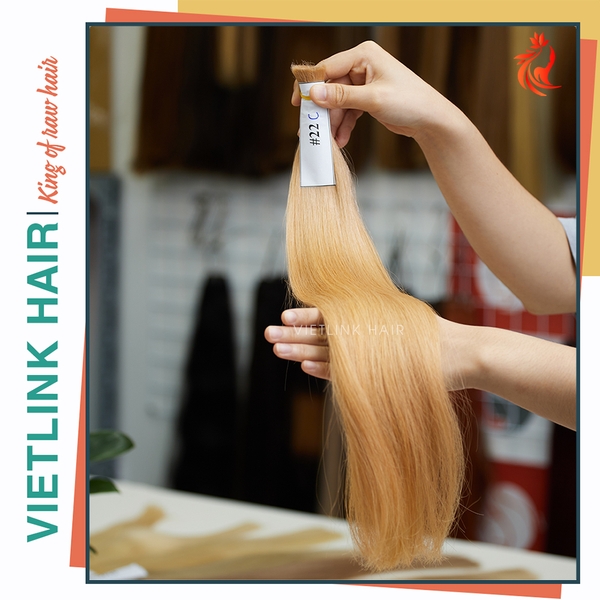 VIETNAMESE STRAIGHT BULK HAIR | #22C COLOR | VIETLINK HAIR