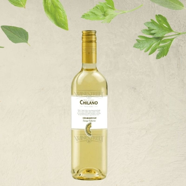 Rượu vang Chile Chilano Sauvignon Blanc Rượu Vang Vino Fino