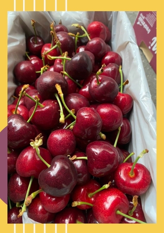 Cherry hộp 1kg | Halafruitonline